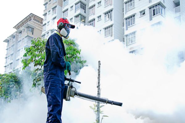 Pest Control Victoria